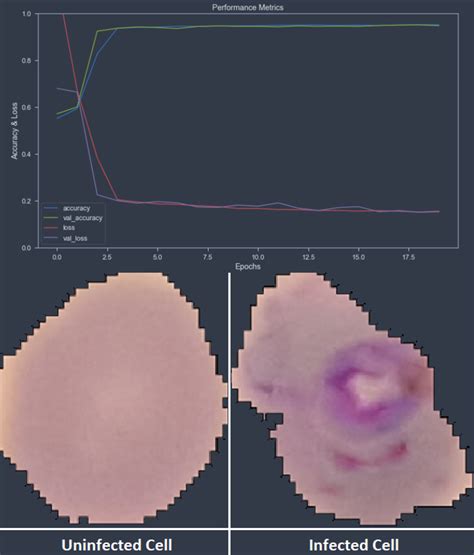 Github Kev Mensmalaria Detection Deep Learning Solution To Detect Parasitic Cells With 95