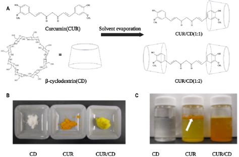 Preparation Process And Solid Liquid Form Of Cur β Cd A Schematic Download Scientific