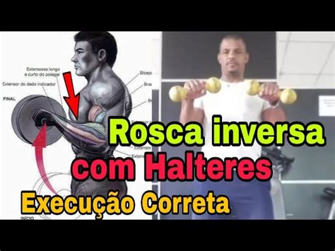 Rosca Reversa Com Halteres
