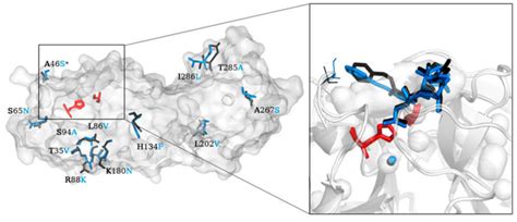 The Differences Between Sars Cov M Pro And Sars Cov 2 M Pro Structures
