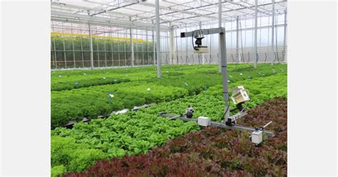 A Sustainable Data Driven Strategy For Maximizing Yields