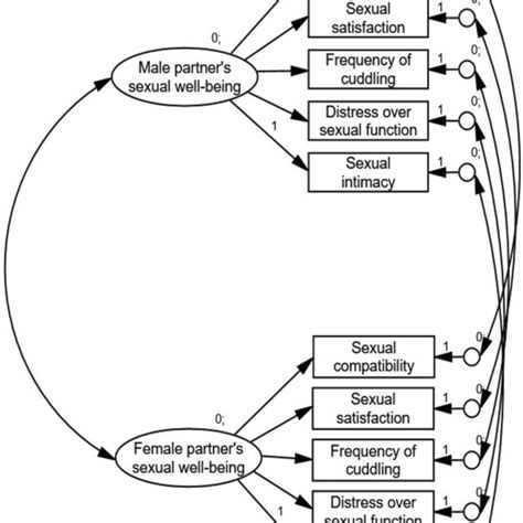 The Model Of Couples Sexual Well Being Download Scientific Diagram