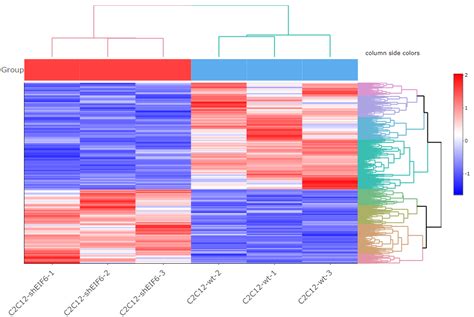 Transcriptome Sequencing Service Next Generation Sequencing