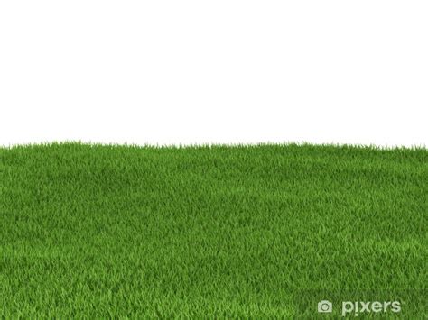 Wall Mural Green Grass Background 3d Render Pixersuk