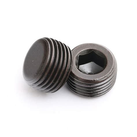 Metric Socket Pipe Plugs