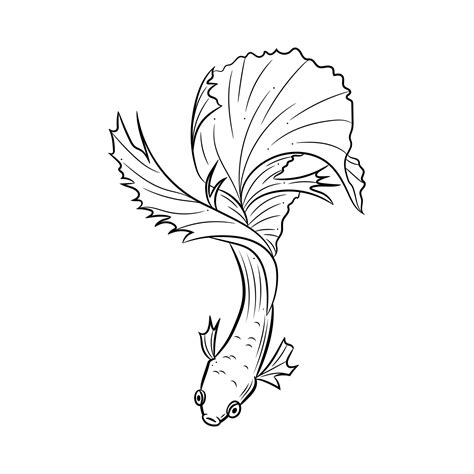 Fish Element 2 16190428 Vector Art At Vecteezy