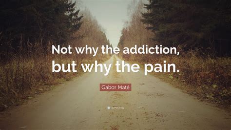 Gabor Maté Quote “not Why The Addiction But Why The Pain”