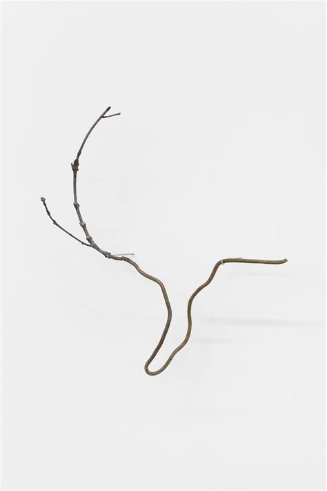 Sara Bjarland — Rebar Extensions