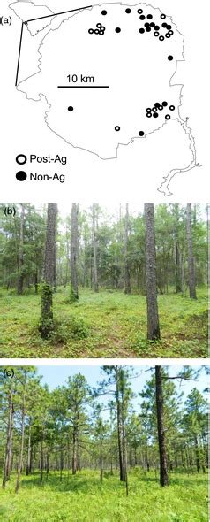 Map Of The Study Sites Within Upland Longleaf Pine Woodlands At The