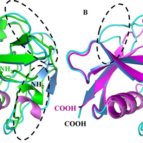Structural Comparison Of Pcd163 Srcr5 With Selected Members In Srcr Sf Download Scientific