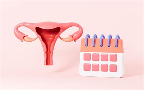 Menstrual Cycle Cartoon