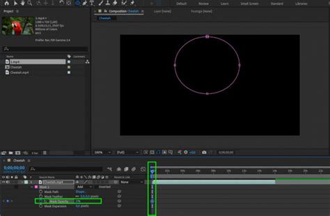 How To Use Opacity In After Effects