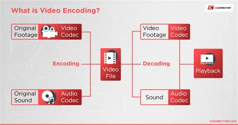 Best CPU For Video Encoding 2024 Update