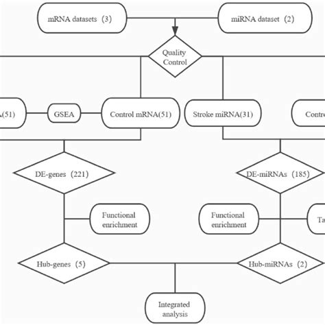 Flowchart Illustrating The Bioinformatic Analysis Process Download