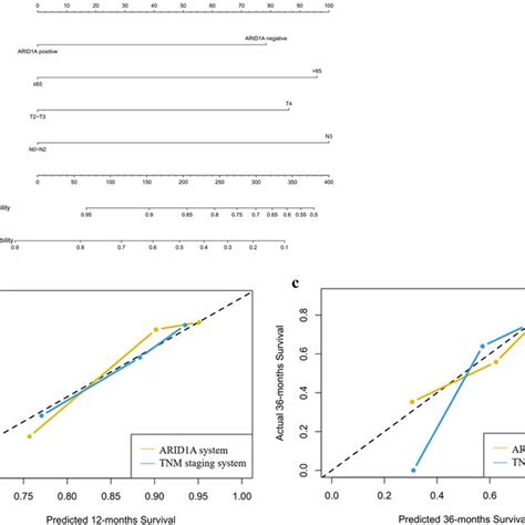 Development And Validation Of The Prognostic Nomogram A Prognostic