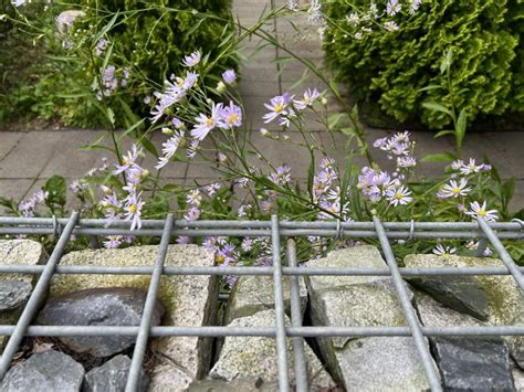 아트인사이트 어느 날 인스타그램에 타자 기능이 사라졌다 나는 사진 찍기를 좋아하는 사람이다 그중에서도 인물보다는 주로 동식물과 음식 풍경을 찍는다 최근에는