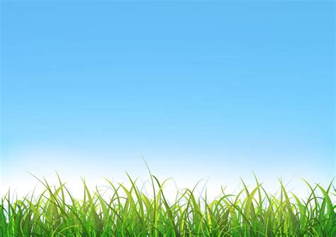 Grass Vector Art Icons And Graphics For Free Download