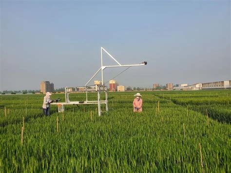人工智能赋能作物育种方兴未艾新闻科学网