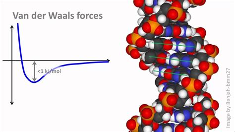 Biochemistry 23 Noncovalent Interactions Pt 2 Youtube