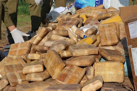 ແຂວງອຸດົມໄຊ ຈູດທຳລາຍຢາເສບຕິດ ເນື່ອງໃນໂອກາດວັນແຫ່ງຊາດຕ້ານຢາເສບຕິດ ຄົບຮອບ 22 ປີ Updatelaos