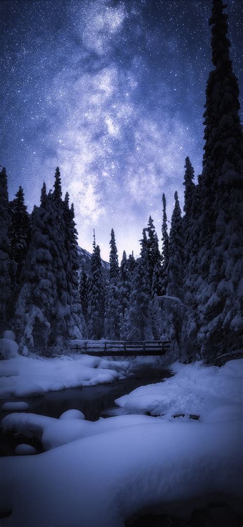 Best Trees Iphone Hd Wallpapers Ilikewallpaper