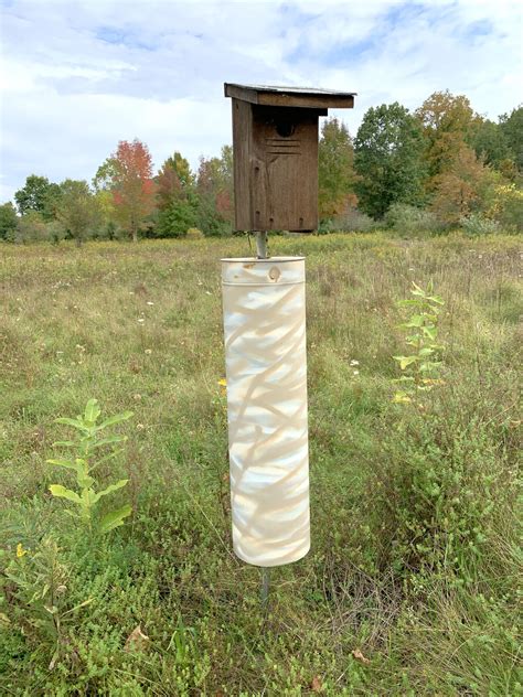 The Basics Of Bird Boxes Upper Thames River Conservation Authority