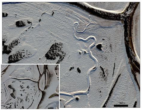 Forest Patterns — Permafrost Patterns February 27 2012 The