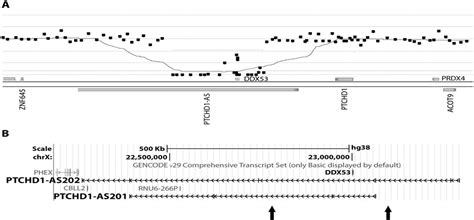 Double Genetic Hit Fragile X Syndrome And Partial Deletion