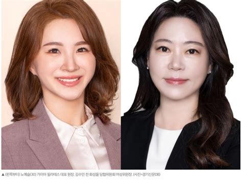 동탄 국힘 예비후보 정치 시사 에펨코리아