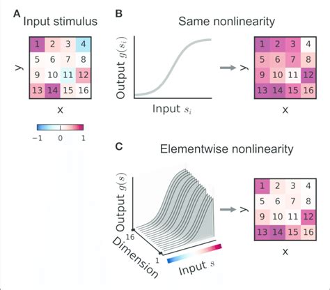illustration of input nonlinearity models a example image patch