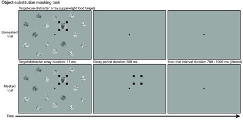 Object Substitution Masking OSM Task Subjects Were Instructed To Download Scientific Diagram
