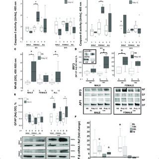 Early Sex Specific Responses To Poly I C In The Brain Of P Mice Download Scientific Diagram