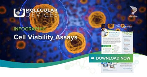 Learn About Cell Viability Assays From Our Infographic Spectramax