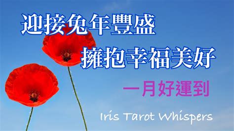 🔮塔羅占卜🔮2023年1月會有什麼幸福到手｜愛情｜工作事業｜財運｜靈性成長 Youtube
