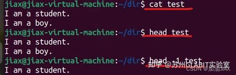 Linux实现查看文件内容的 种方式 知乎