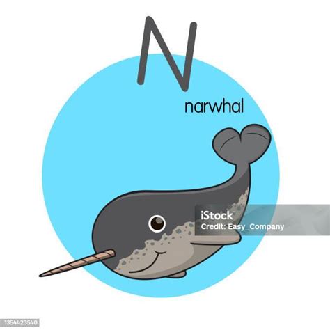 알파벳 문자 N 어퍼 케이스 또는 어린이 학습 연습 Abc를위한 대문자와 나르할의 벡터 그림 0명에 대한 스톡 벡터 아트 및 기타 이미지 Istock