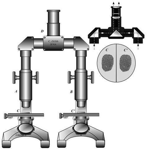 Comparison Microscope Alchetron The Free Social Encyclopedia