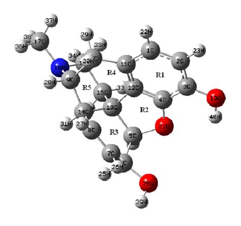Model Molecular Structure Of Morphine Download Scientific Diagram