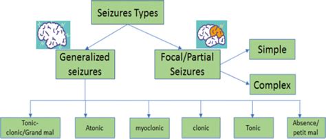 脑电图癫痫发作检测：概念、技术、挑战和未来趋势 Multimedia Tools And Applications X Mol