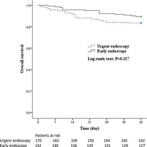 Endoscopic Hemostasis Techniques In Patients With Acute Variceal