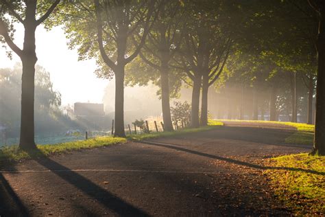 Het Belang Van Een Gezonde Leefstijl Pma Lifestyle