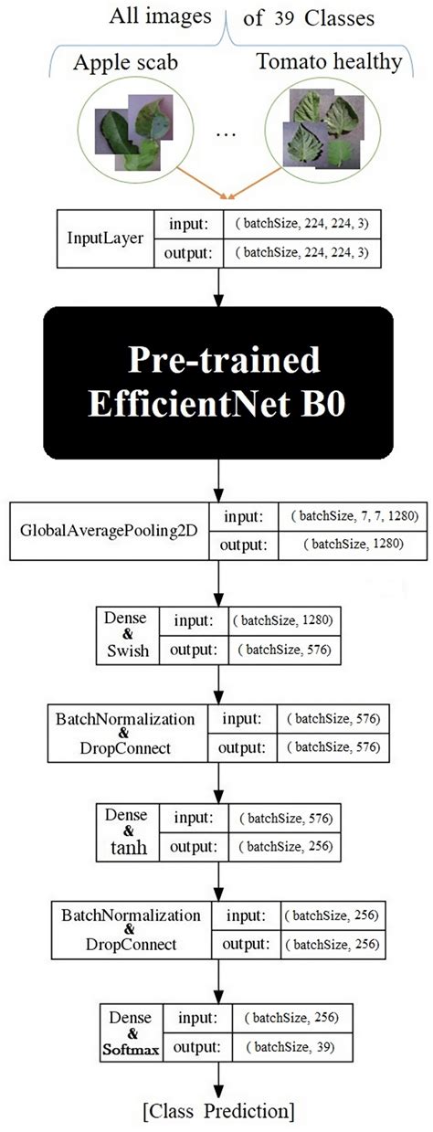 Teacher Efficientnet Based Model Pretrained On The Plantvillage Data