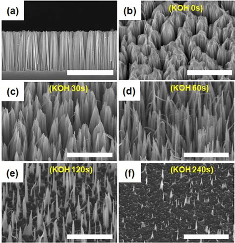 a cross sectional sem images showing the sinw array after
