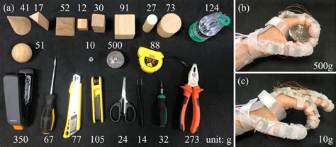 a objects used in the test of grasping ability the white numbers in
