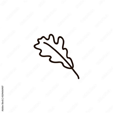 Tree Leaf Vector Icon Leaf Vector Illustration Canada Vector Symbol