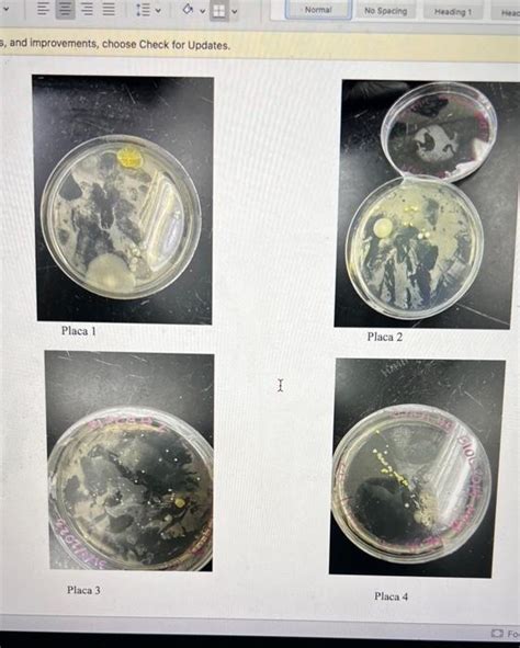 Solved Hi So Im Having Trouble Writing A Discussion Of