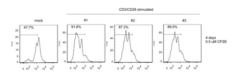 Why Does My CFSE Assay Look Horribe