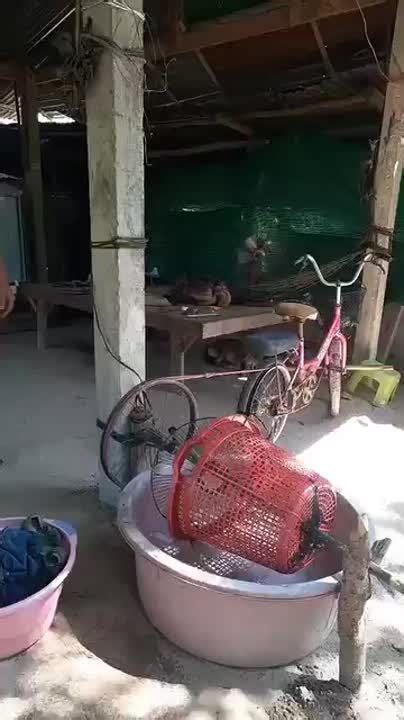 Miracle Emmanuel On Linkedin The Most Sustainable Zero Energy