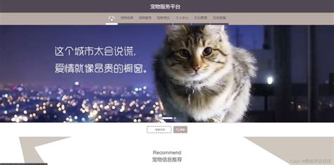 【附源码】计算机毕业设计宠物服务平台（javaspringbootmysqlmybatis论文 Csdn博客