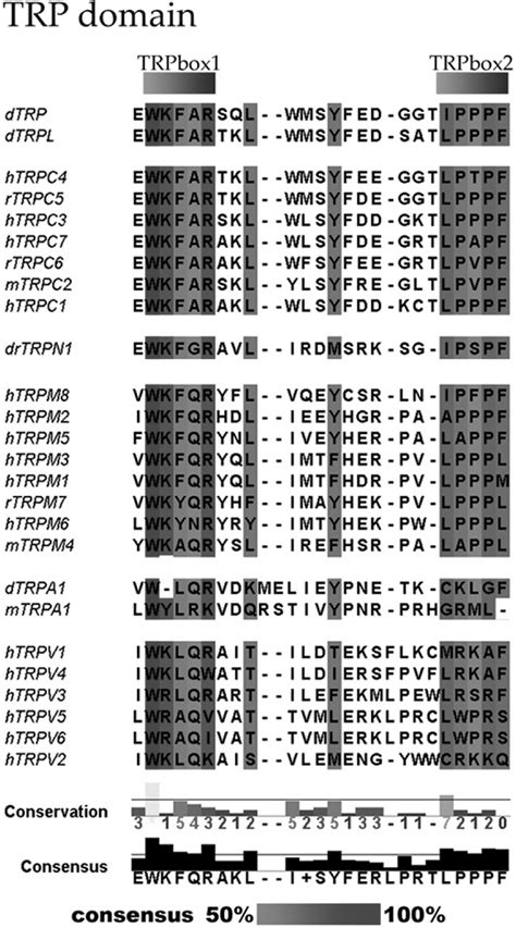 Structurefunctional Intimacies Of Transient Receptor Potential